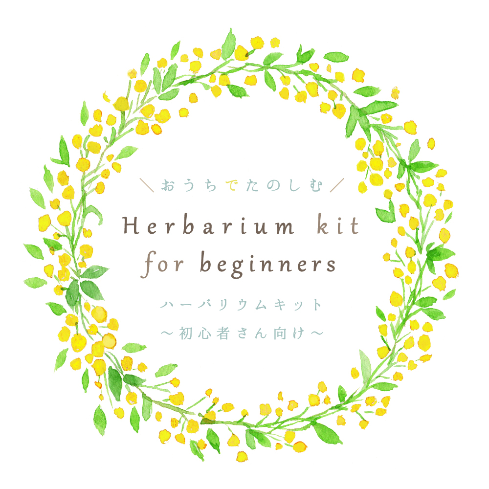 【オススメ】お家で作って楽しい！手作りハーバリウムキット販売始めました♪【ハンドメイド】 | Chira Chiara｜キーラキアーラ